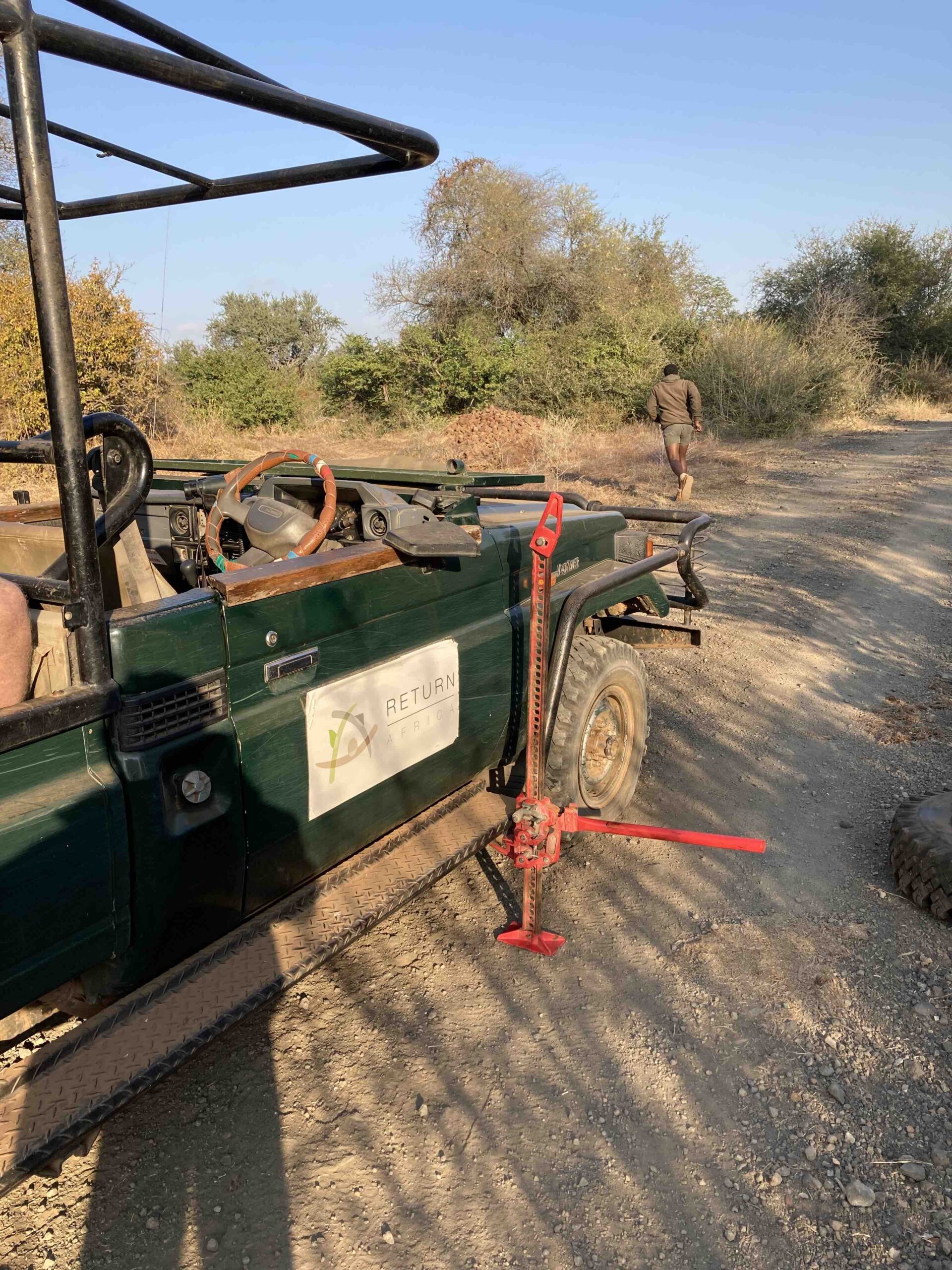 Pafuri Day 2 – Temple Travels