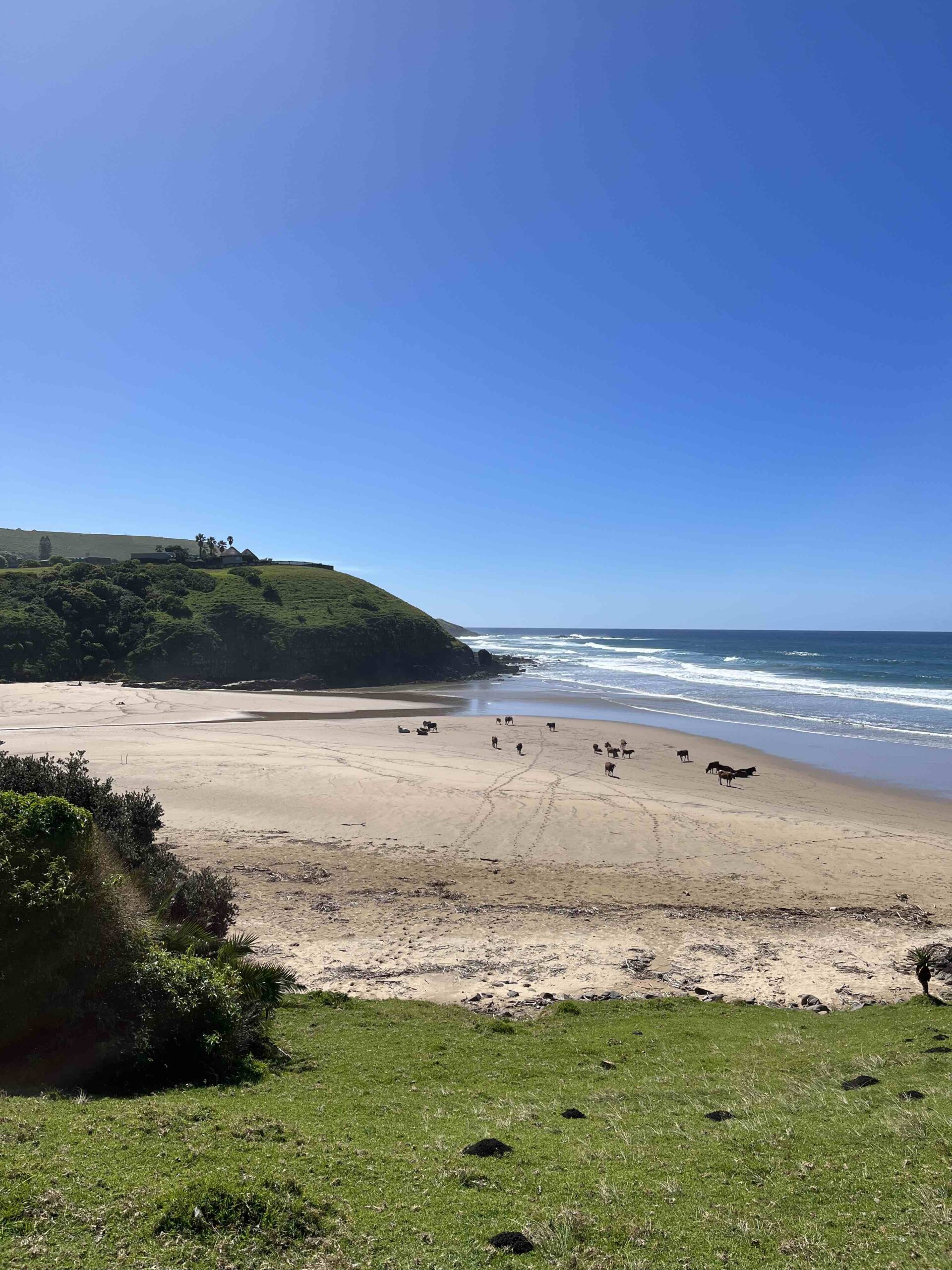 Coffee Bay – Temple Travels